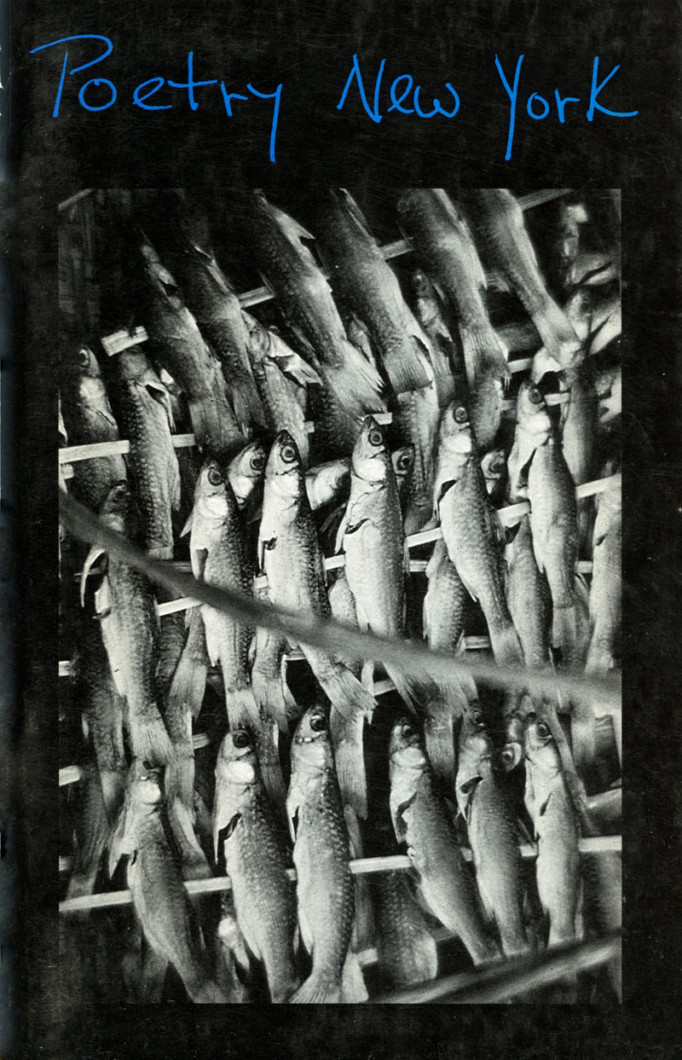 Poetry New York: A Journal of Poetry & Translation | From a Secret Location